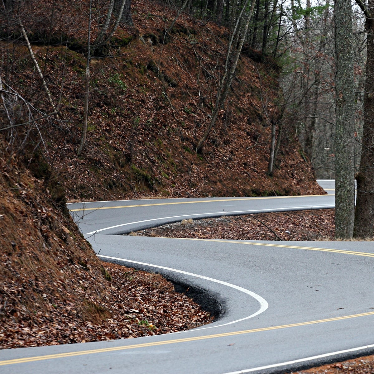 Dragon Tail Smoky Mountains Roads & Rallies: The Tail Of The Dragon