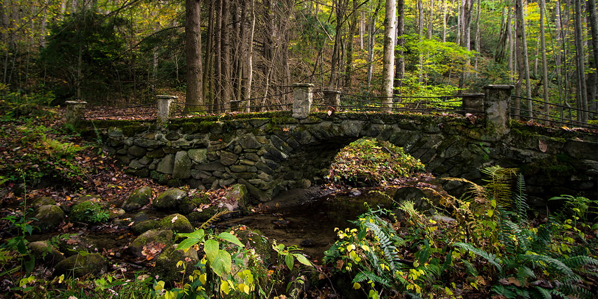 The Whimsical Troll Bridge in the Smoky Mountains You Need to See
