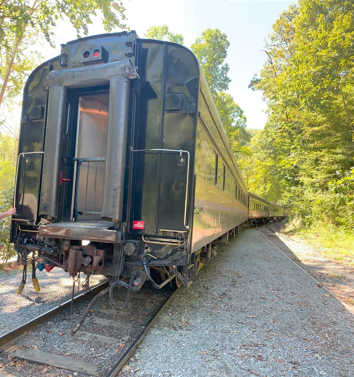 The Scenic Train Ride in the Great Smoky Mountains You Need To Try